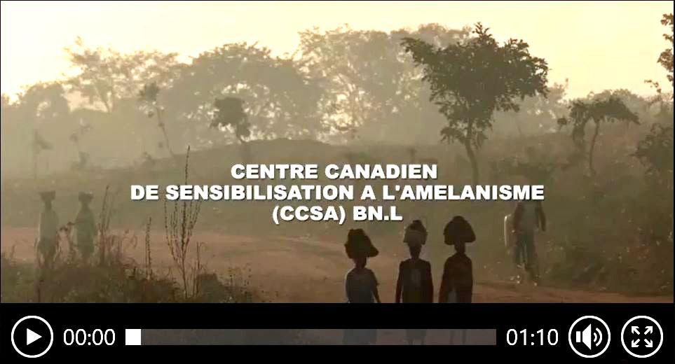 Vidéos | Centre Canadien de Sensibilisation à l'Amélanisme / Canadian ...